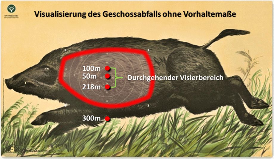 Laufender Keiler auf 300m? Geht klar – wenn du weißt, wie! - Laufender ...