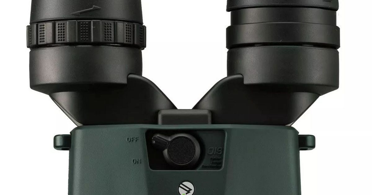 ALPEN OPTICS Apex Steady 20x42 HD Fernglas mit Bildstabilisierung ...