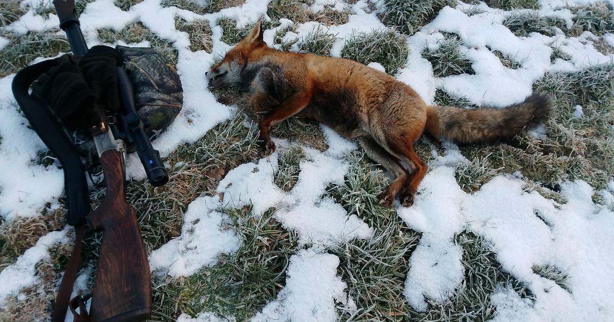 Prinz Bockdrilling - Prinz Bockdrilling