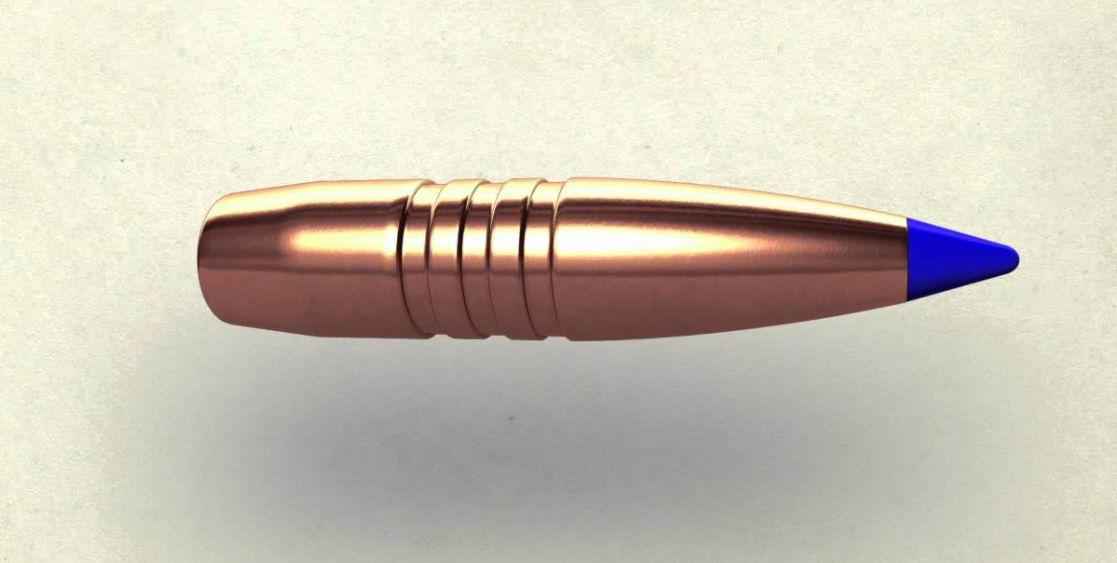 Which lead-free ammunition is the best? - Gunfinder
