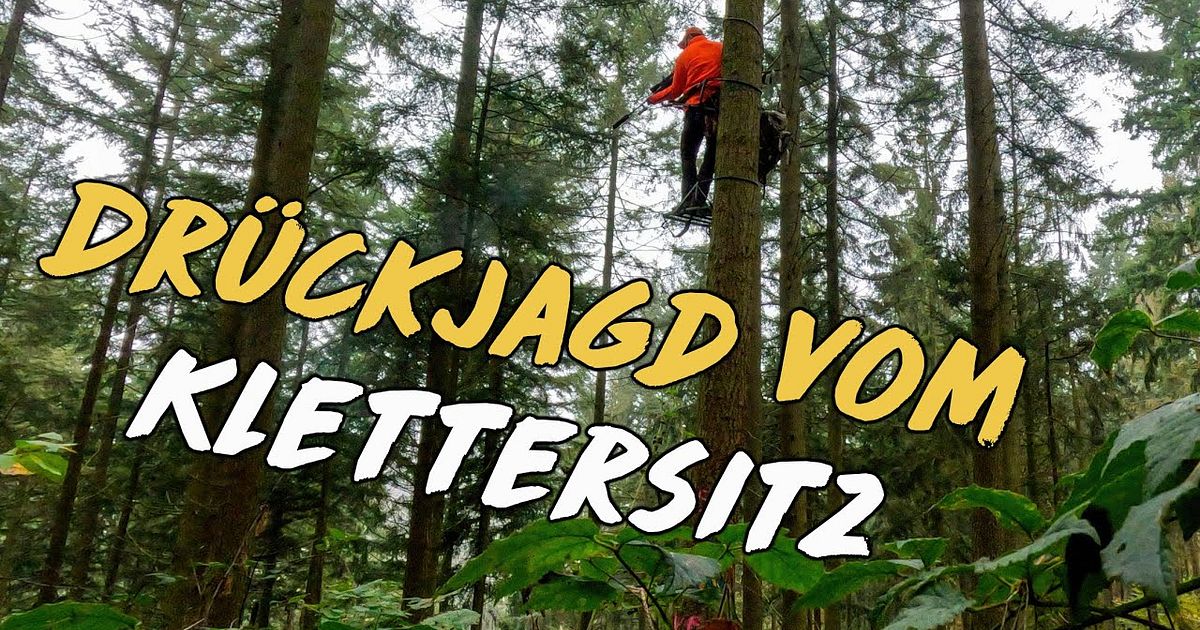 Drückjagd vom Klettersitz - Drückjagd vom Klettersitz