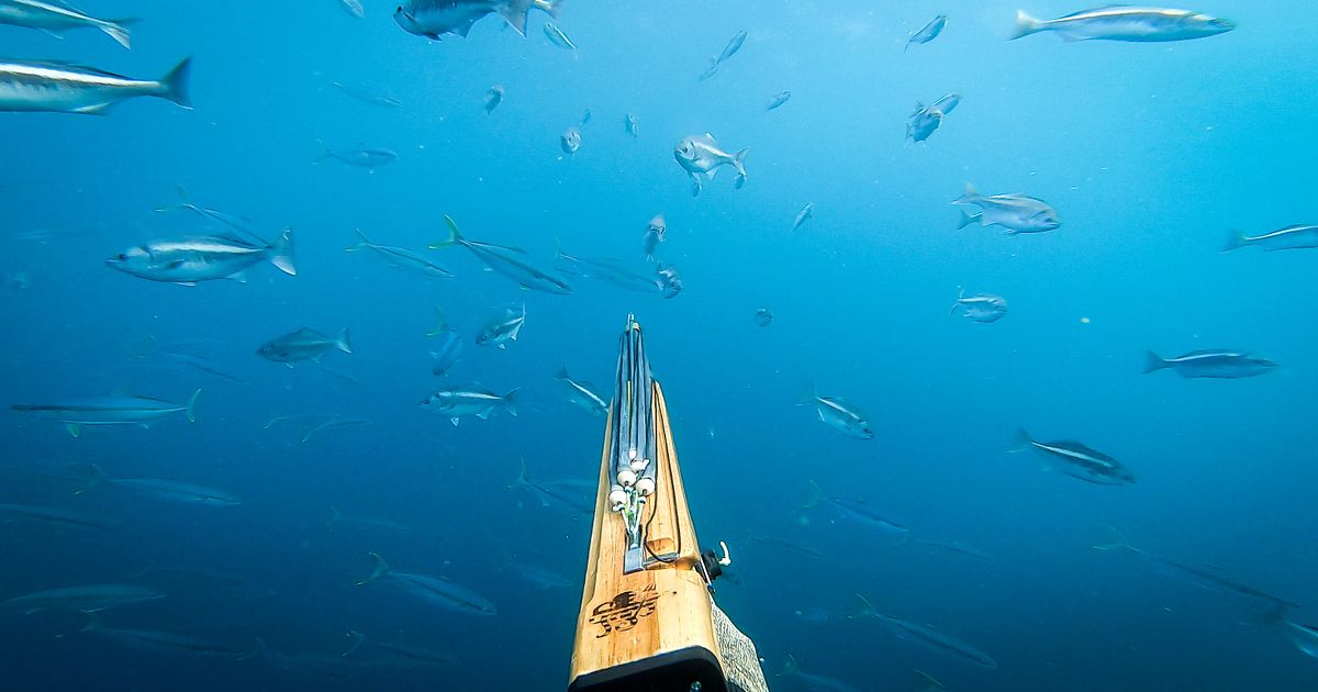 Scuba Ringer - Gunfinder