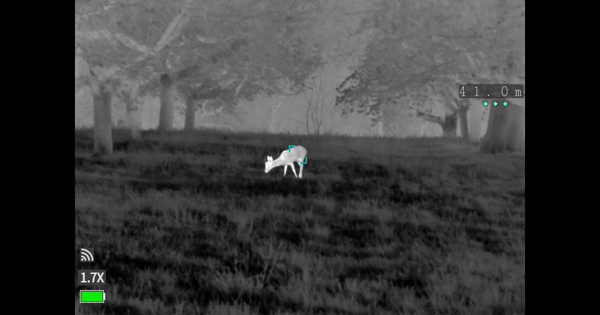 Guide TD631 LRF - Guide TD631 LRF