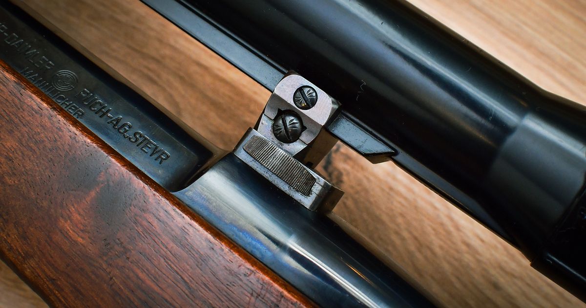 STEYR-Mannlicher Mod. M: Eine alte Lady liefert immer noch zuverlässig ...