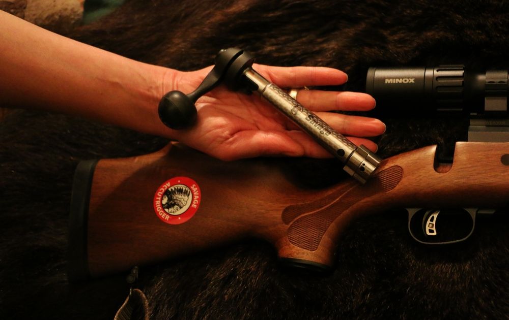 Mein Jahr mit der Lady Hunter von Savage - Mein Jahr mit der Lady ...