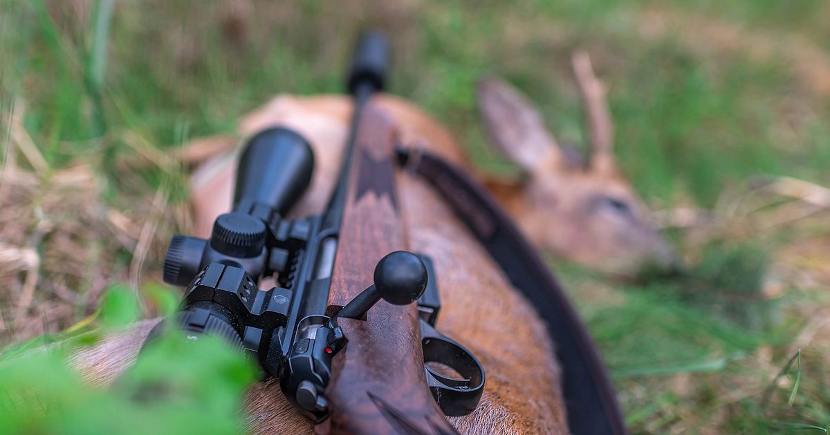 Anschütz 1771 im Kaliber .223 Rem. - Anschütz 1771 im Kaliber .223 Rem.