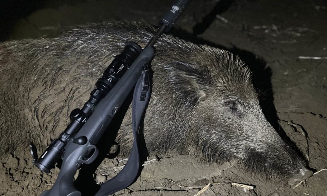 Selection of the First Hunting Rifle - What to Consider? - Gunfinder