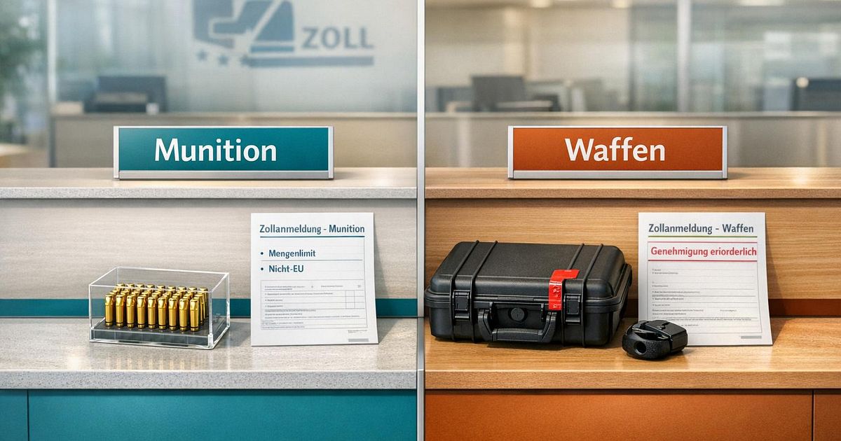 Customs declaration of ammunition vs. weapons: differences - Gunfinder