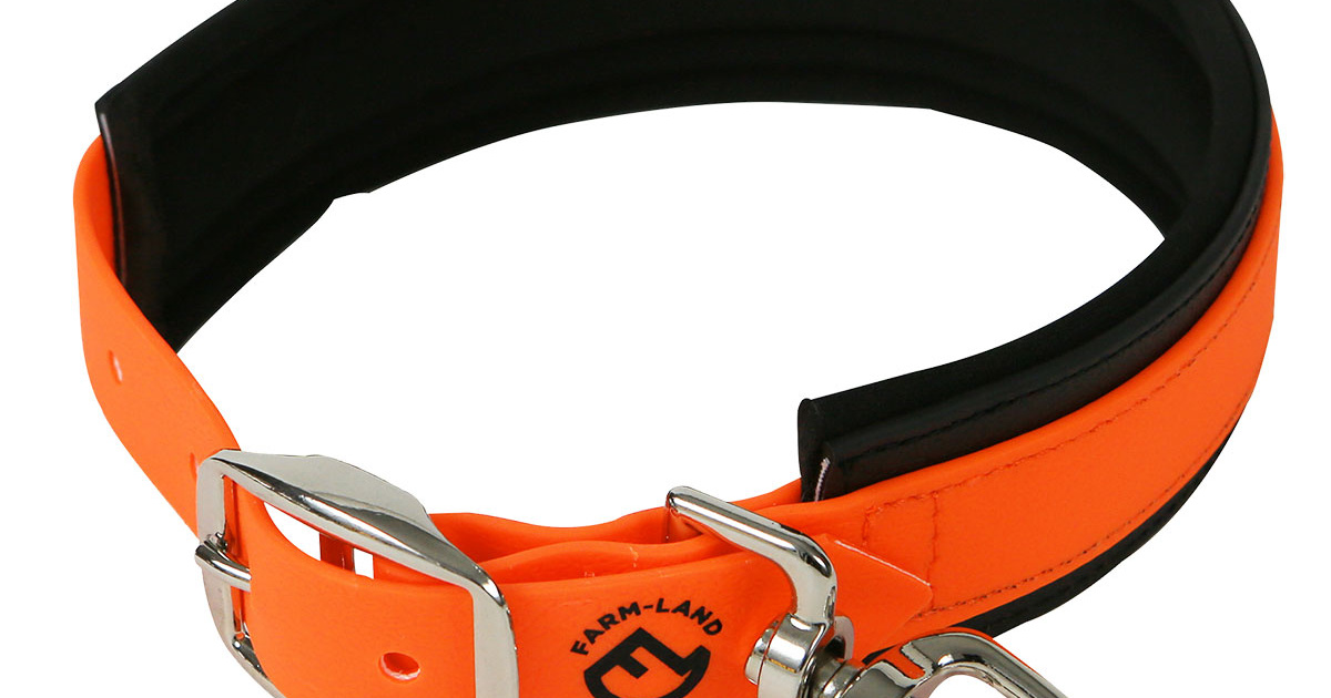 The Right Tracking Collar for Hunting Dogs - Gunfinder