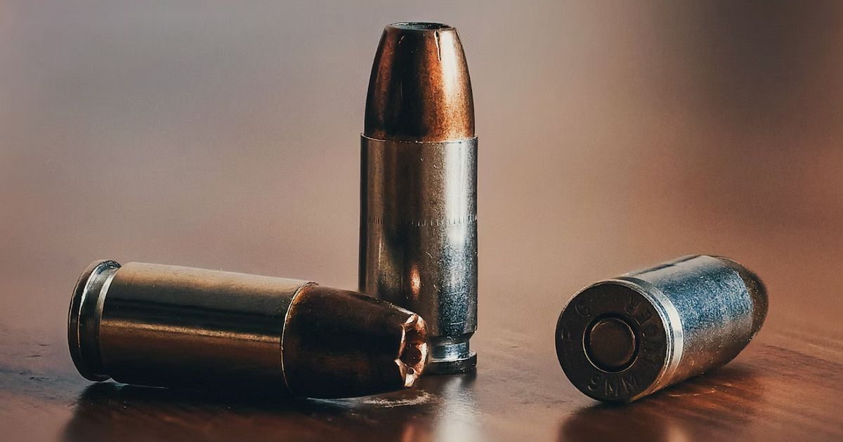 Ballistics - the science of projectiles and their trajectories - Gunfinder