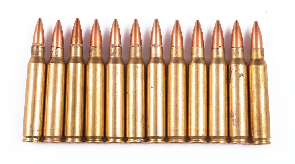 The Best Driven Hunt Cartridges: A Comparison - Gunfinder