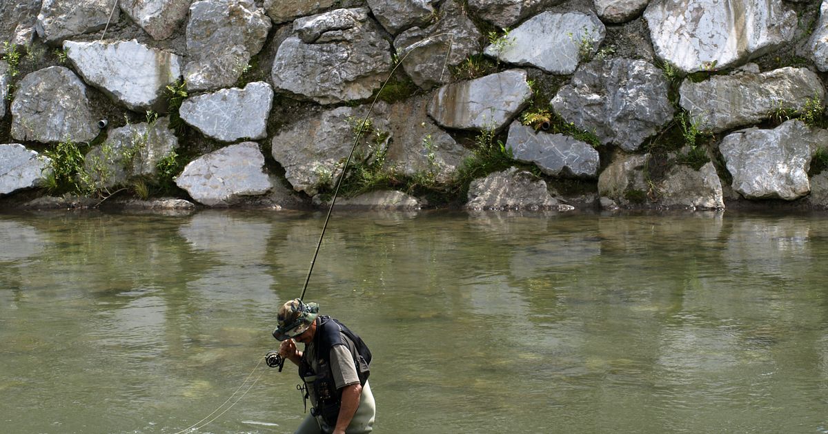 The most important terms every fishing beginner should know - Gunfinder