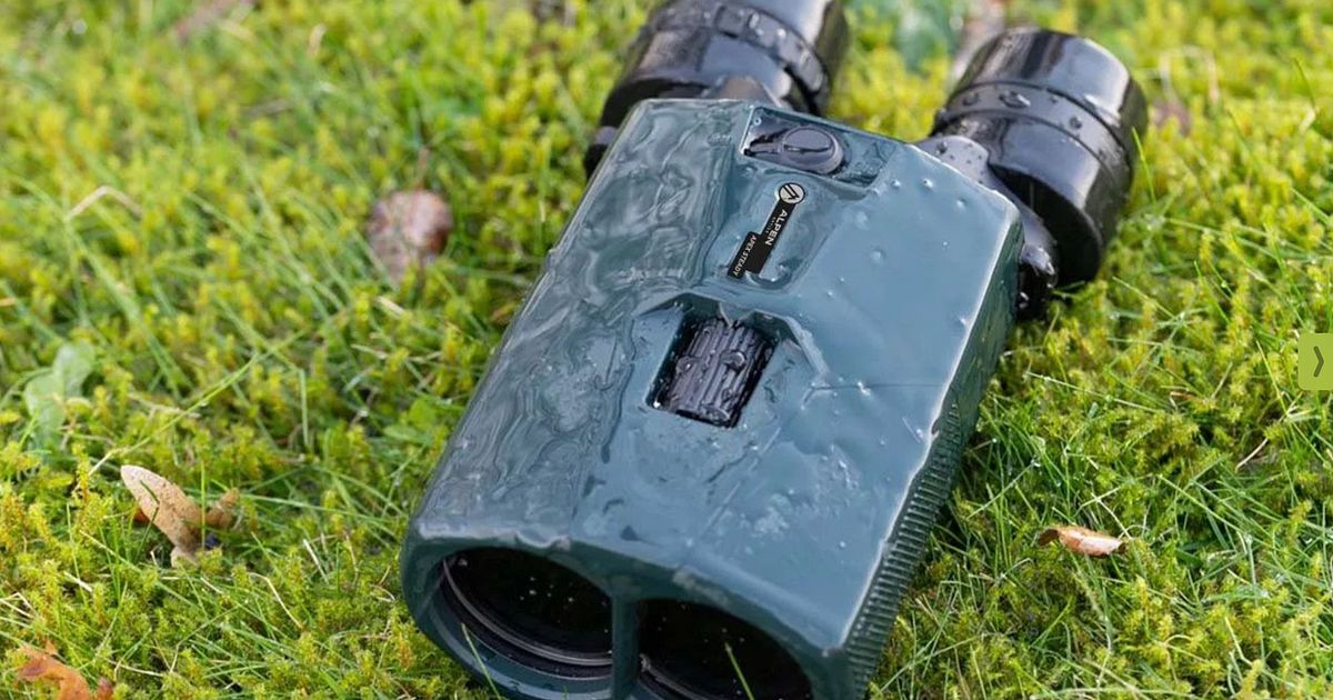 ALPEN OPTICS Apex Steady 20x42 HD Fernglas mit Bildstabilisierung ...