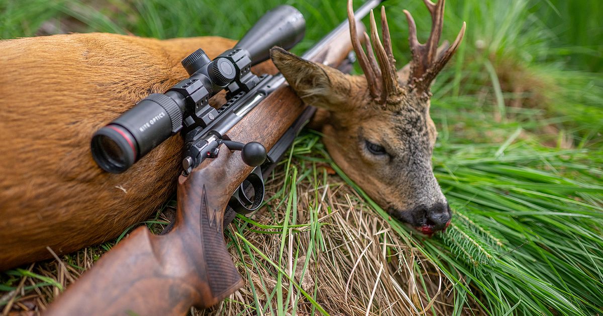 Anschütz 1771 im Kaliber .223 Rem. - Anschütz 1771 im Kaliber .223 Rem.