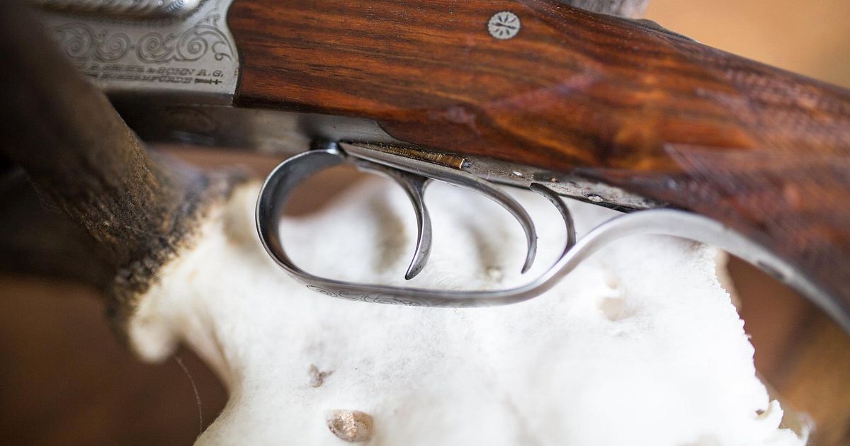 Sauer 54 - Pure Eleganz und Führigkeit - Sauer 54 - Pure Eleganz und ...