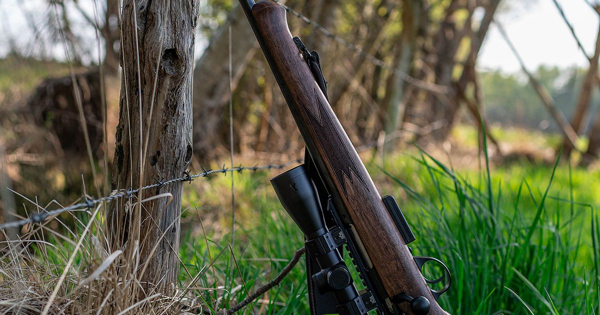 Anschütz 1771 im Kaliber .223 Rem. - Anschütz 1771 im Kaliber .223 Rem.