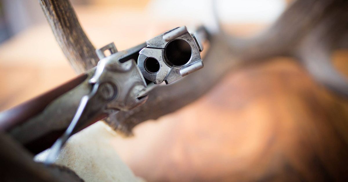 Sauer 54 - Pure Eleganz und Führigkeit - Sauer 54 - Pure Eleganz und ...