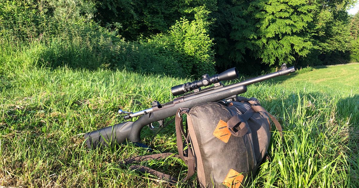 Spartanische Stabilität - Spartanische Stabilität