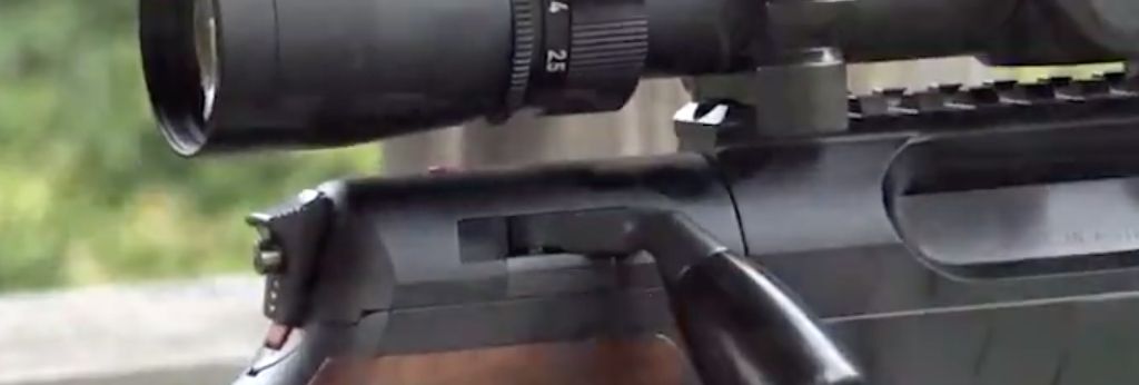 Straight Pull Repeater - Gunfinder