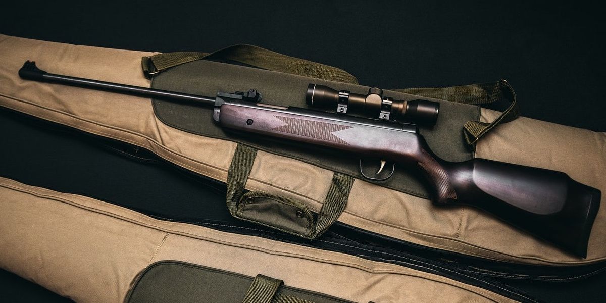 cañón de rifle - Gunfinder