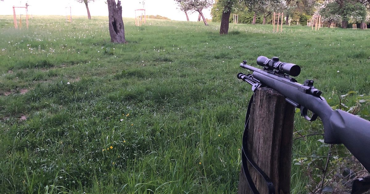 Spartanische Stabilität - Spartanische Stabilität