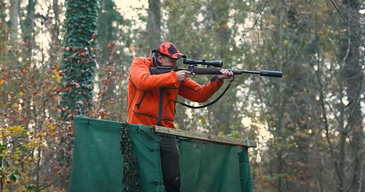 Drive Hunt Guide: How to Behave Properly on a Drive Hunt - Gunfinder