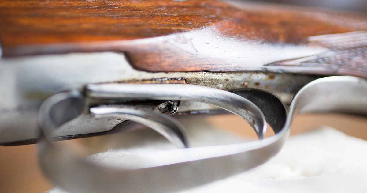 Sauer 54 - Pure Eleganz und Führigkeit - Sauer 54 - Pure Eleganz und ...