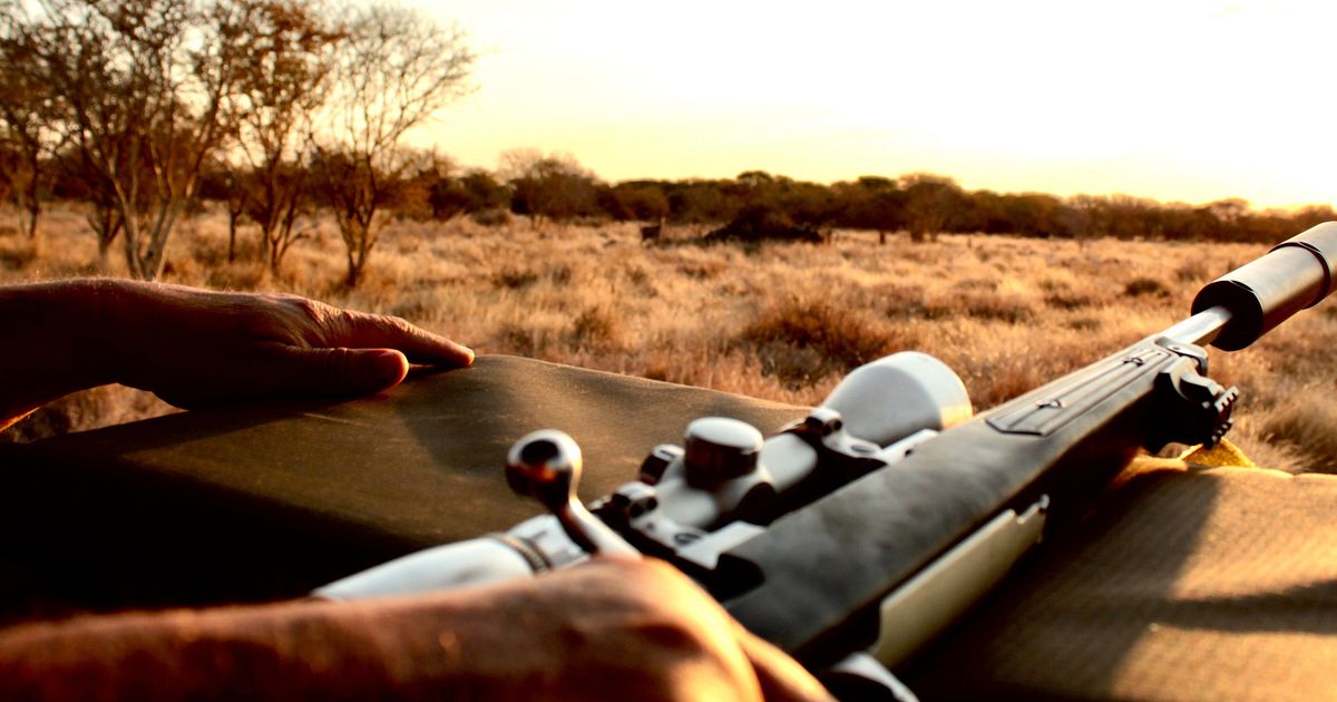 What barrel length for which caliber? - Gunfinder