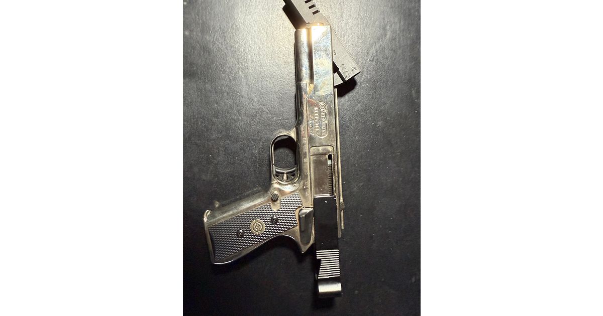 Marksman "Laserhawk"SELTEN - Gunfinder