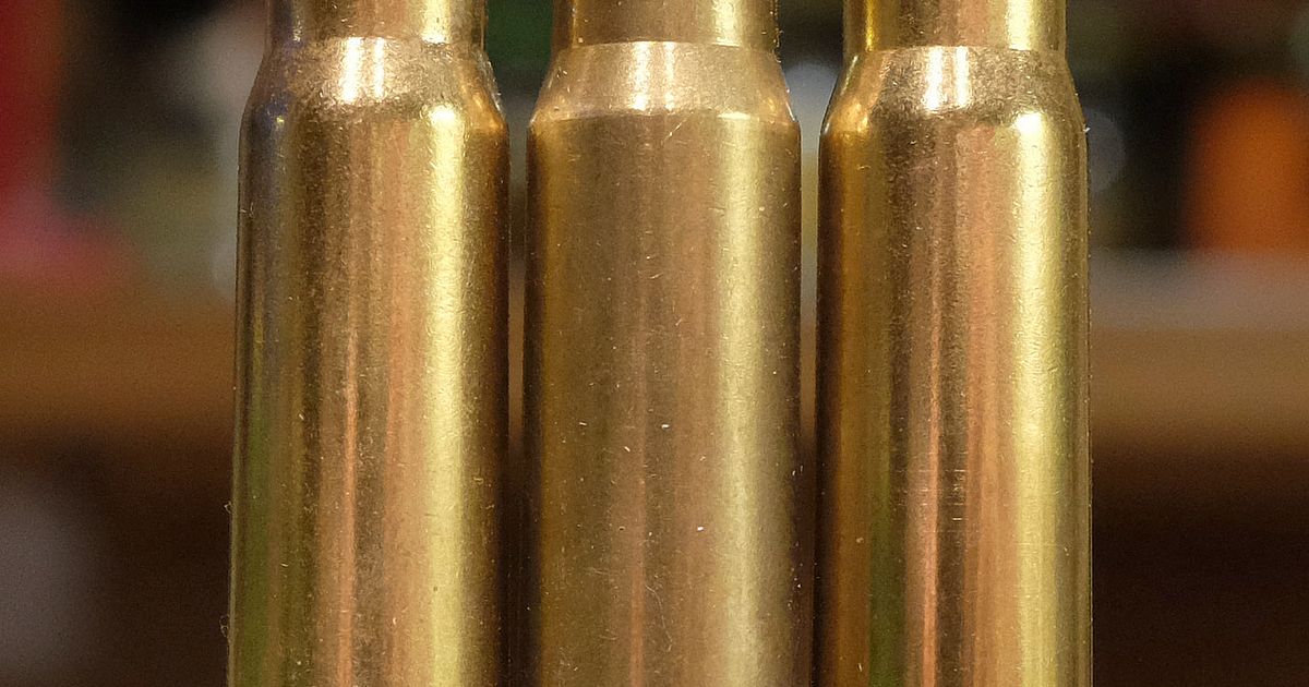 Die Königin 9,3x64 - Die Königin 9,3x64