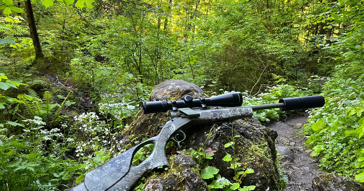 Bergara BA 13TD Camo Strata nach zweieinhalb Jahren (in Kaliber .308 ...