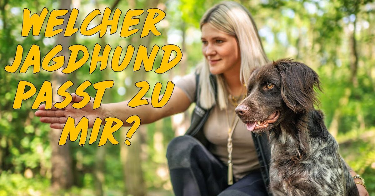 Was ist der beste Jagdhund? Für mich! - Was ist der beste Jagdhund? Für ...