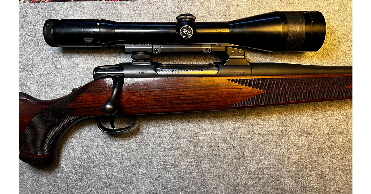 Sauer 80 in 7x64 mit Zubehör - Gunfinder