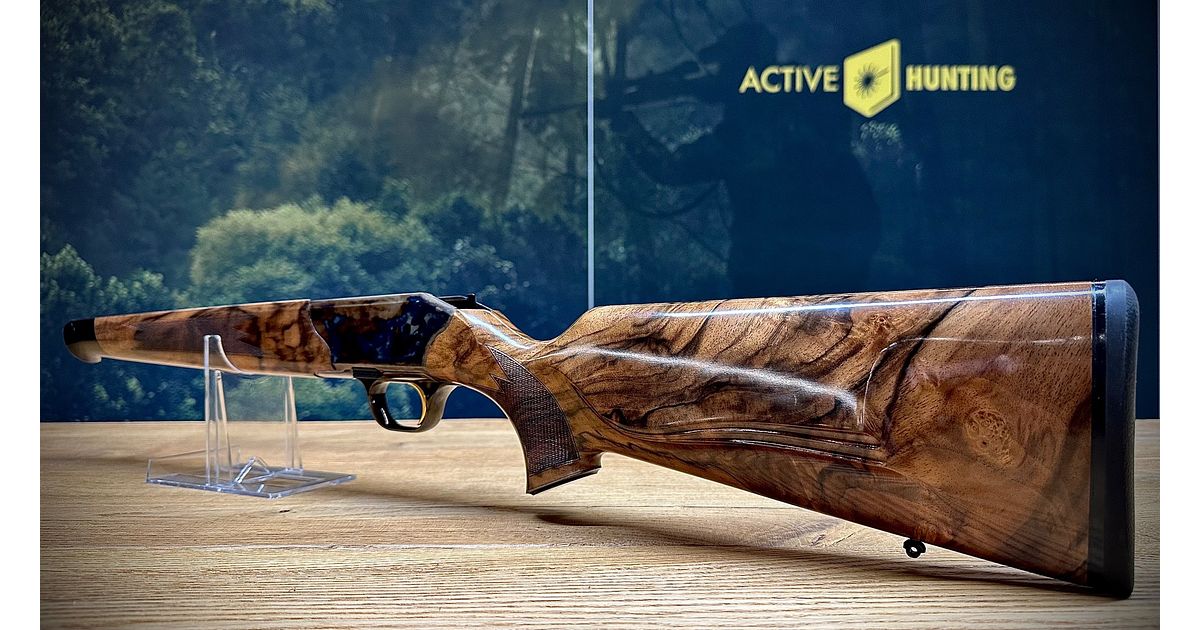 Blaser R8 Schaft mit Bunthärtung / HK7 / Super Finish / Systemkasten&Abzug Stahl / TRAUMHAFT ...