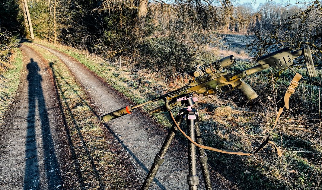 Wolfskrieger Yggdrasil - die deutsche Eiche unter den Pirschstöcken ...