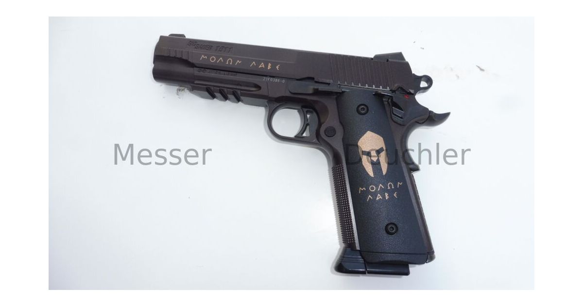 Sig Sauer 1911 Spartan - Gunfinder